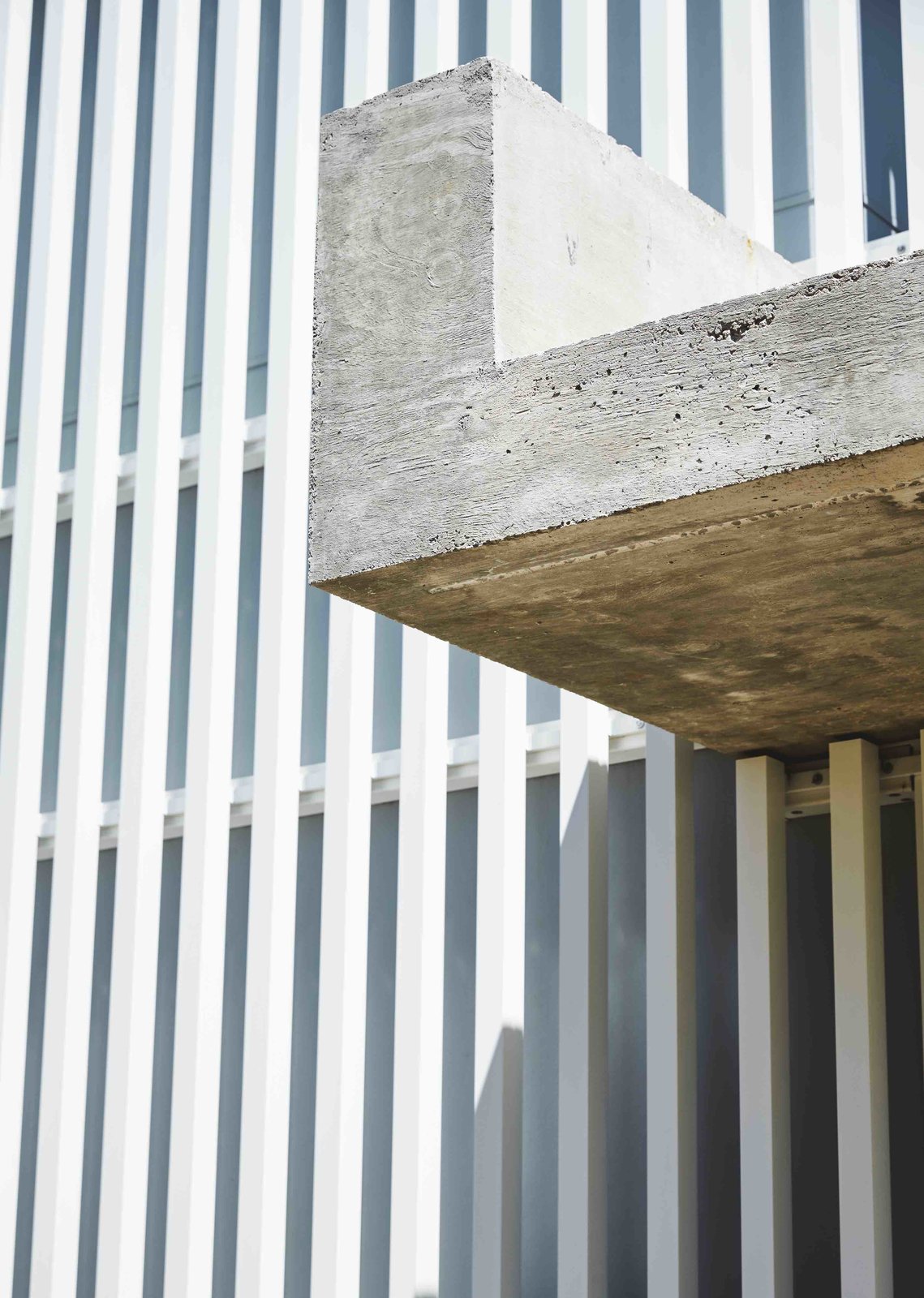 Photo 5 of 11 in Vaulted Skylights and Concrete Columns Connect This ...