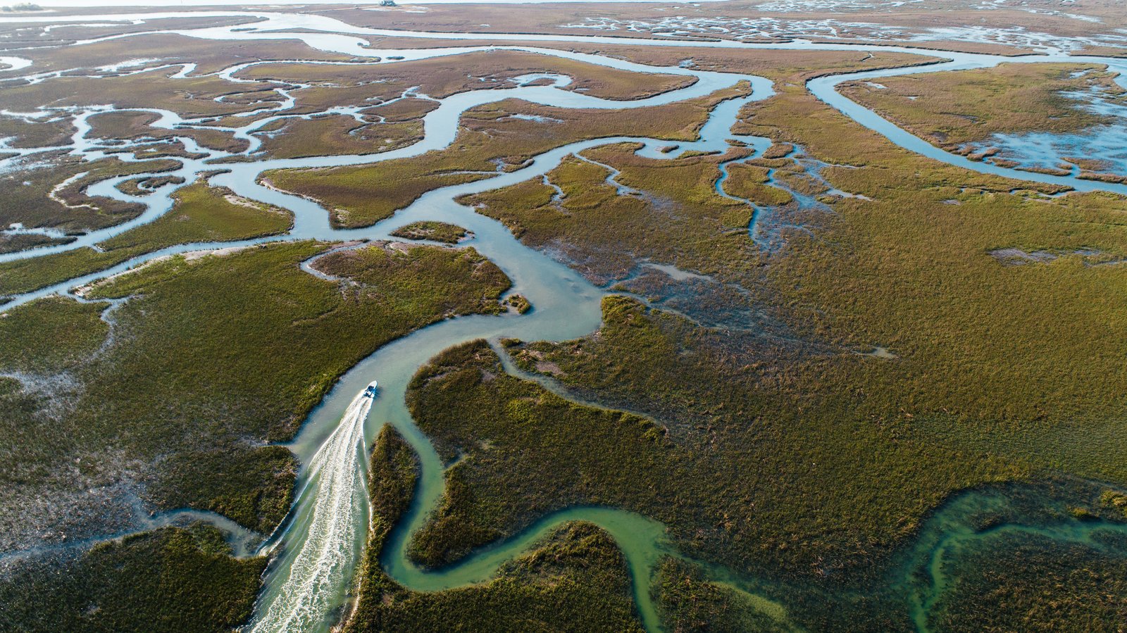 16 Summer Essentials Inspired by South Carolina’s Lowcountry Collection ...