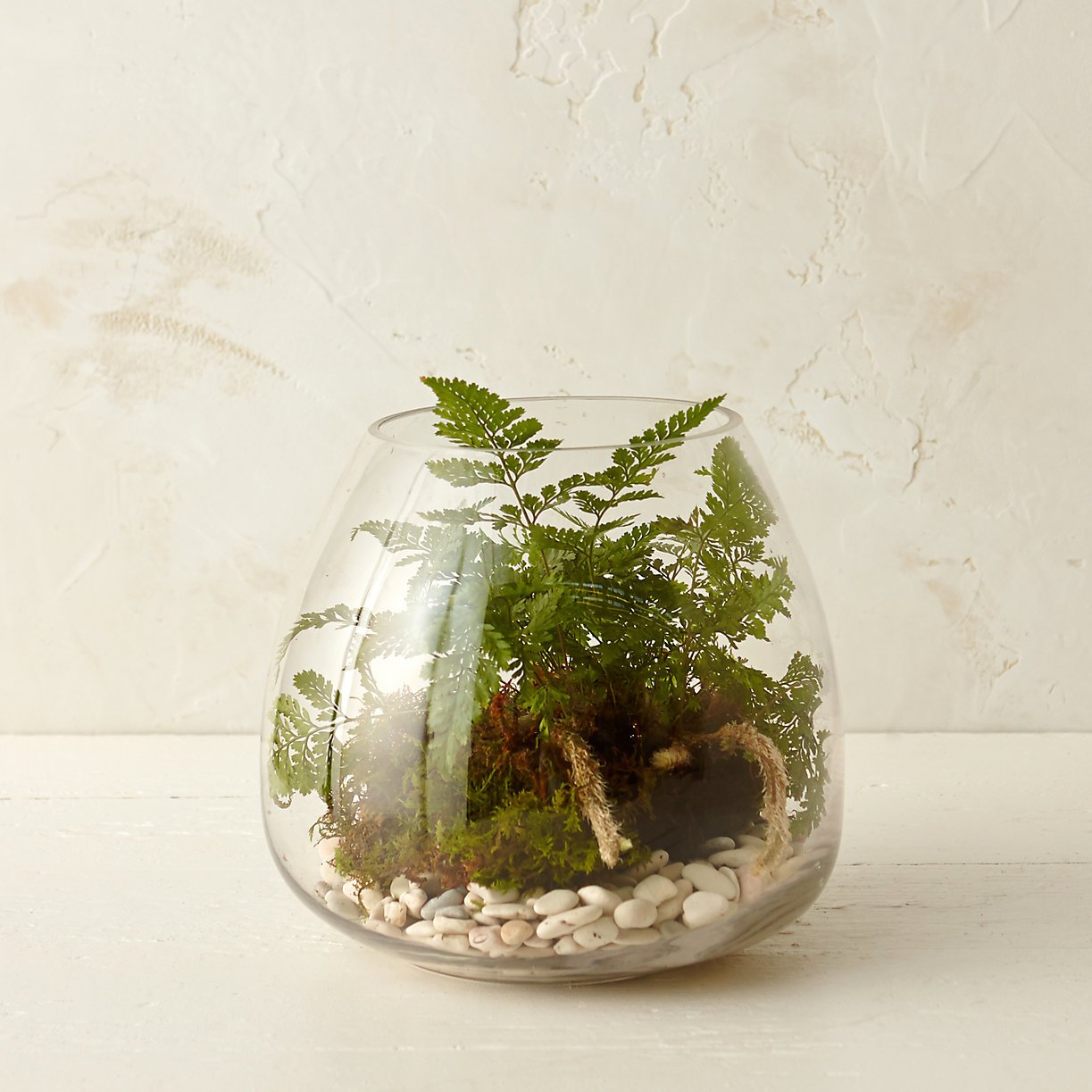 Discover the best Water-Drop-Jug.html products on Dwell - Dwell