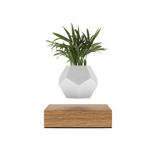Discover the best geo-planter.html products on Dwell - Dwell
