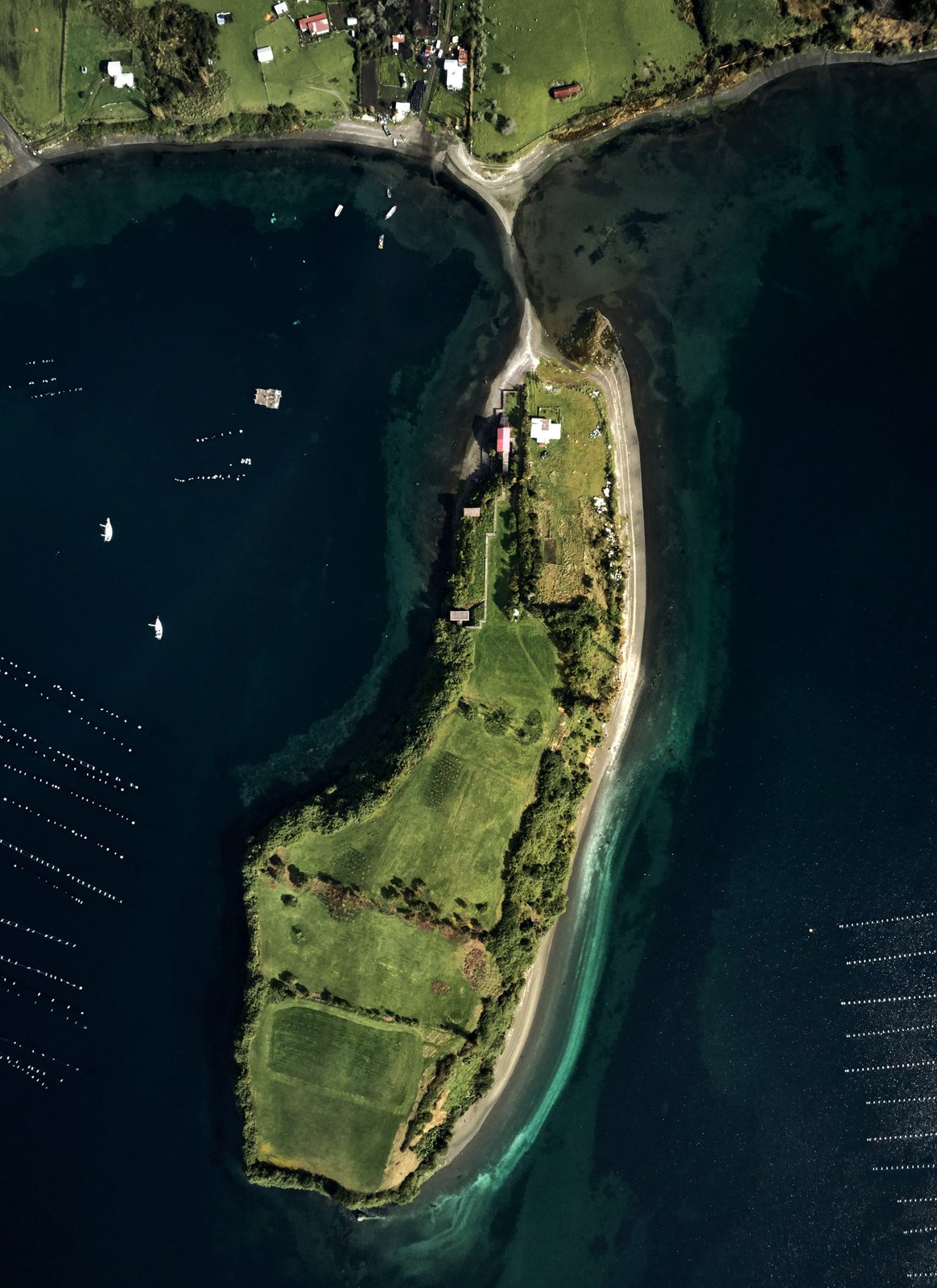 Photo 19 of 20 in An Architect in Chile Transforms an Uninhabited ...