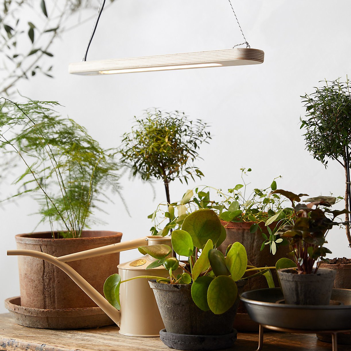 Terrain Grow Bar by Terrain - Dwell
