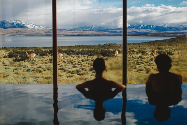 Best 60+ Modern Windows Design Photos And Ideas - Dwell