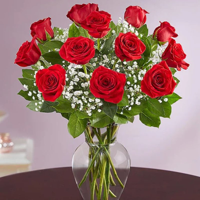 Rose Elegance Premium Long Stem Red Roses Bouquet by 1800Flowers - Dwell