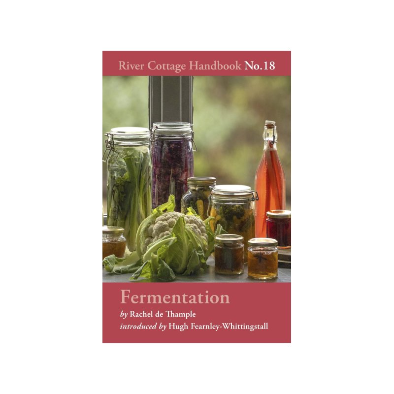 Fermentation: River Cottage Handbook No. 18 by Bookshop - Dwell