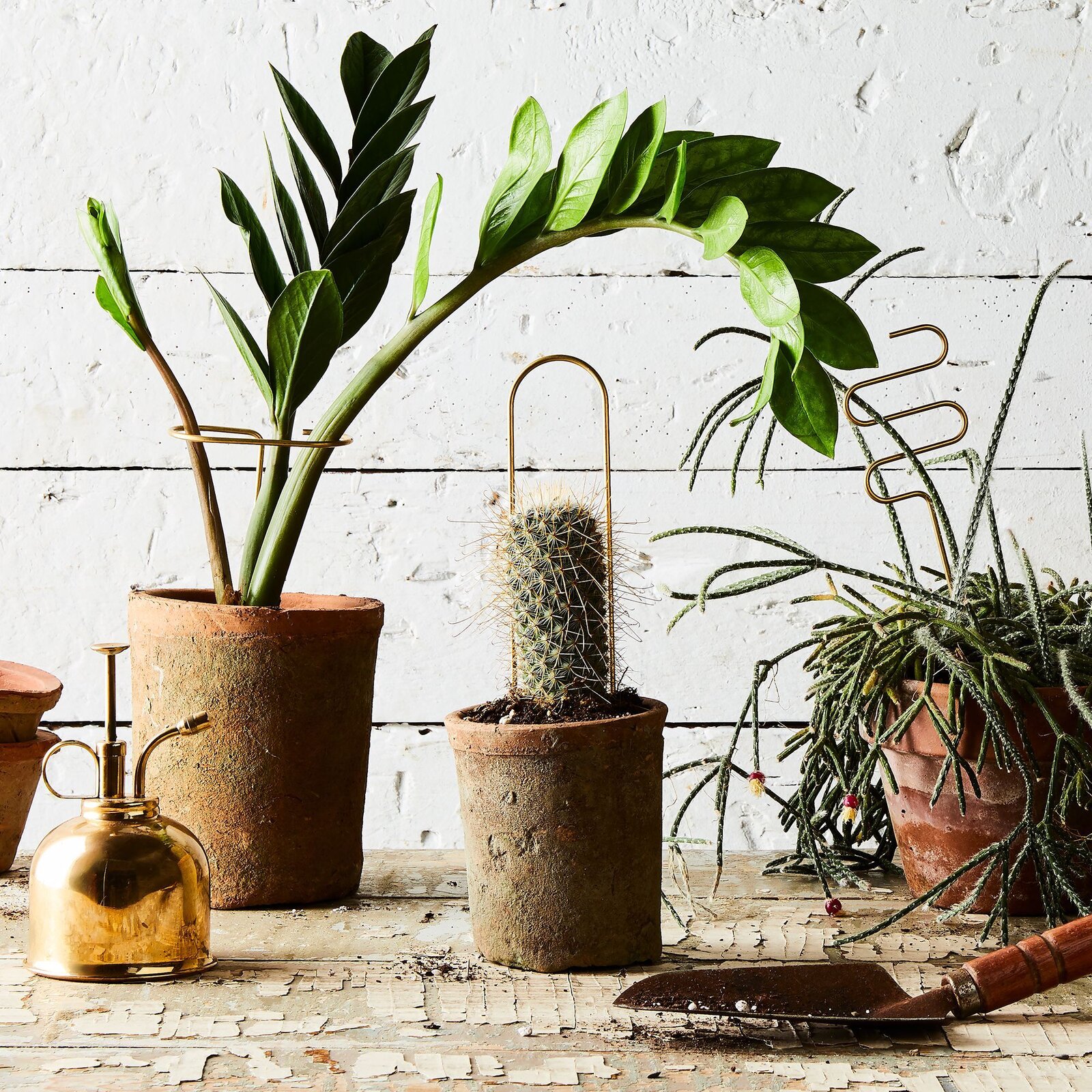 Fruitsuper Plant Sticks (Set of 6) by Food52 - Dwell