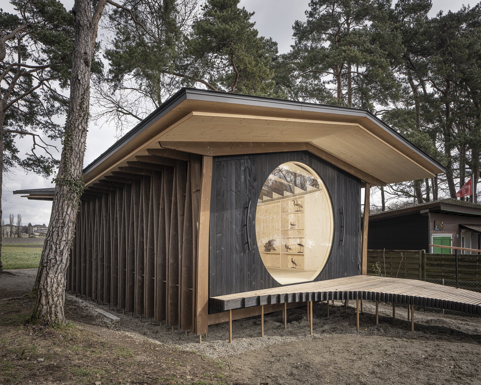 Photo 1 of 10 in A Tiny Cabin for Migrating Birds Rises in Switzerland ...