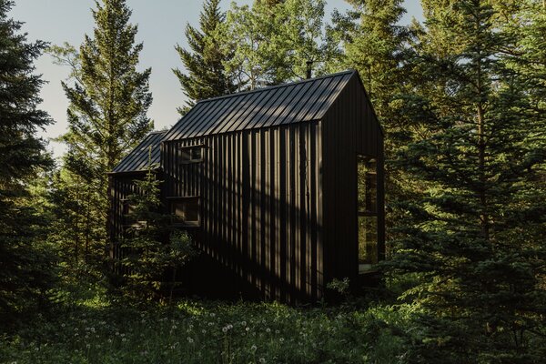 Exterior Metal Roof Material Cabin Design Photos and Ideas - Dwell