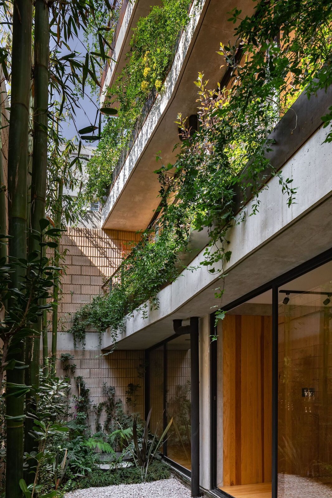 Photo 8 of 10 in A Mexico City Apartment Building Offers Lush Terraces ...