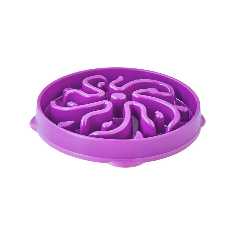 Outward Hound Fun Feeder Interactive Dog Bowl, Purple by Chewy - Dwell