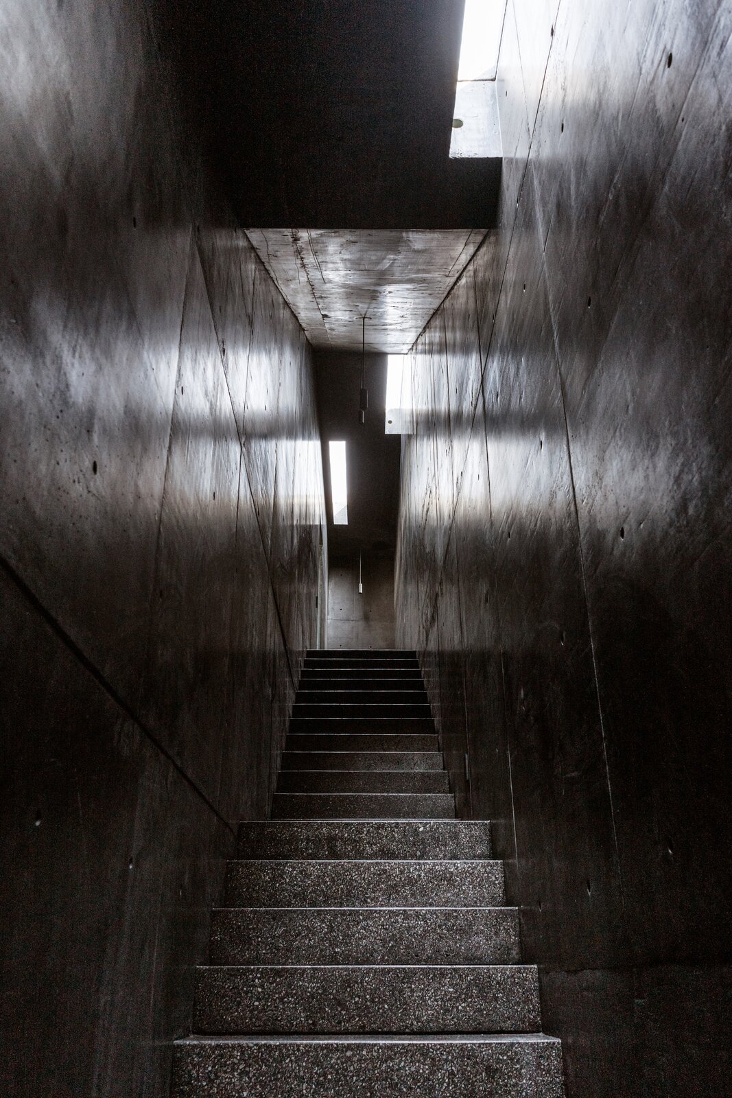 Photo 5 of 17 in A Dark Serpentine Structure Works as a Surprisingly ...