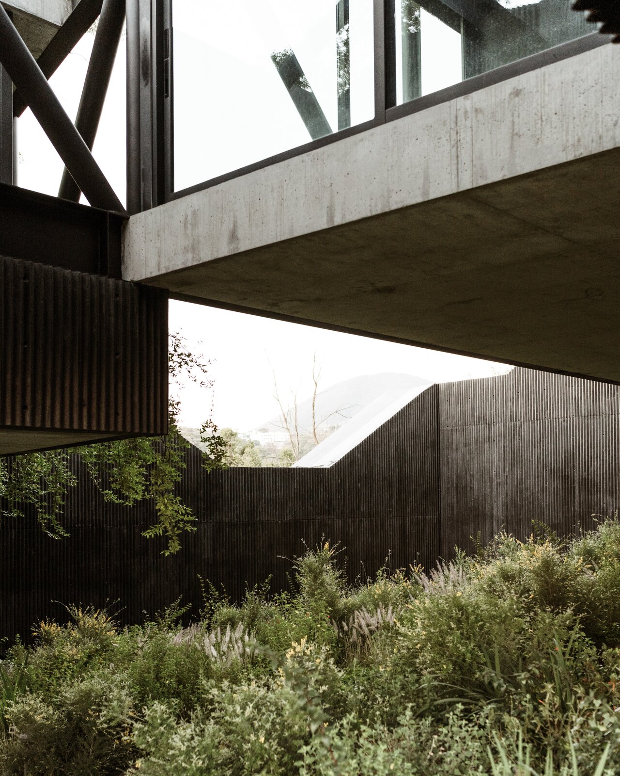 Photo 14 of 17 in A Dark Serpentine Structure Works as a Surprisingly ...