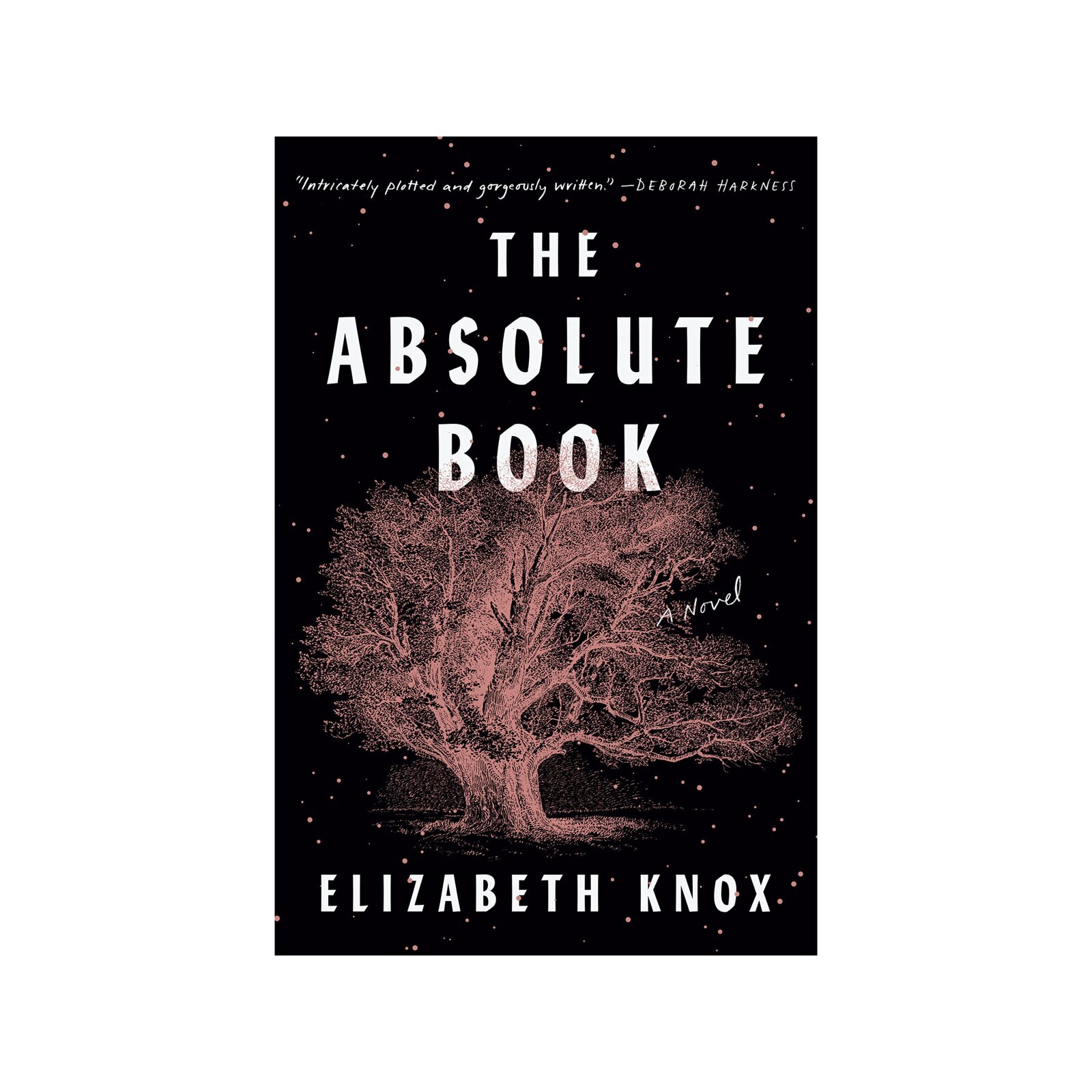 The Absolute Book by Amazon - Dwell