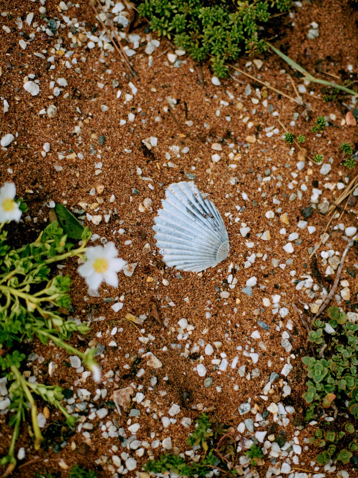 Photo 11 of 11 in This Closed-Loop Design on Long Island Provides a ...