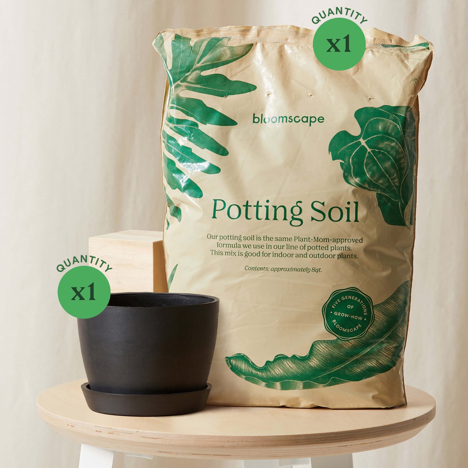 Repotting Kit (6” Pot) by Bloomscape - Dwell