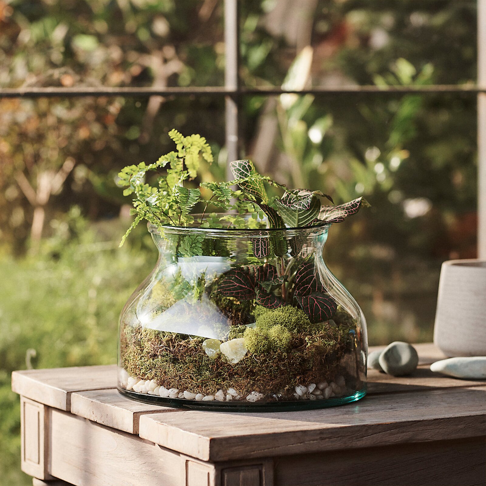 Bowl Recycled Glass Terrarium by Dwell - Dwell