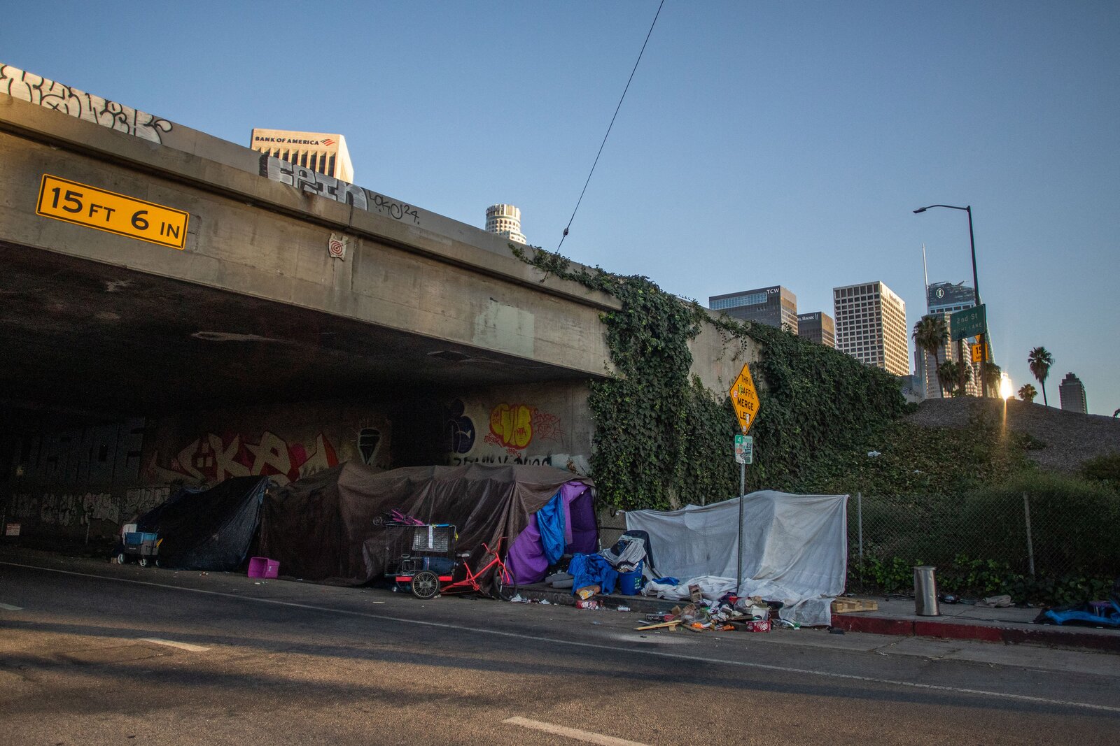 Photo 2 of 2 in California Governor Gavin Newsom Orders the State to ...