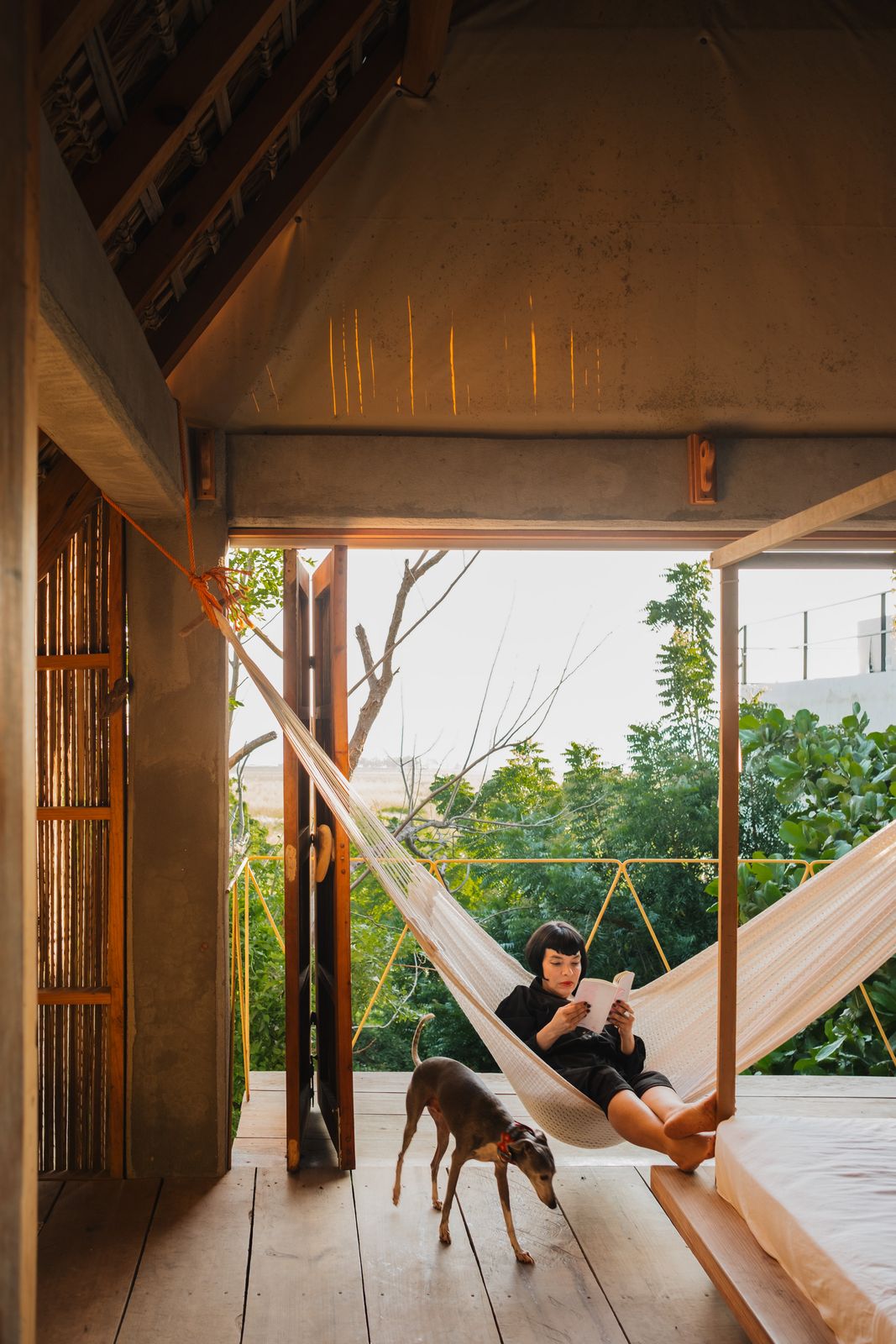 Photo 4 of 19 in An Artist Lets the Wind and Wildlife of Oaxaca Flow ...