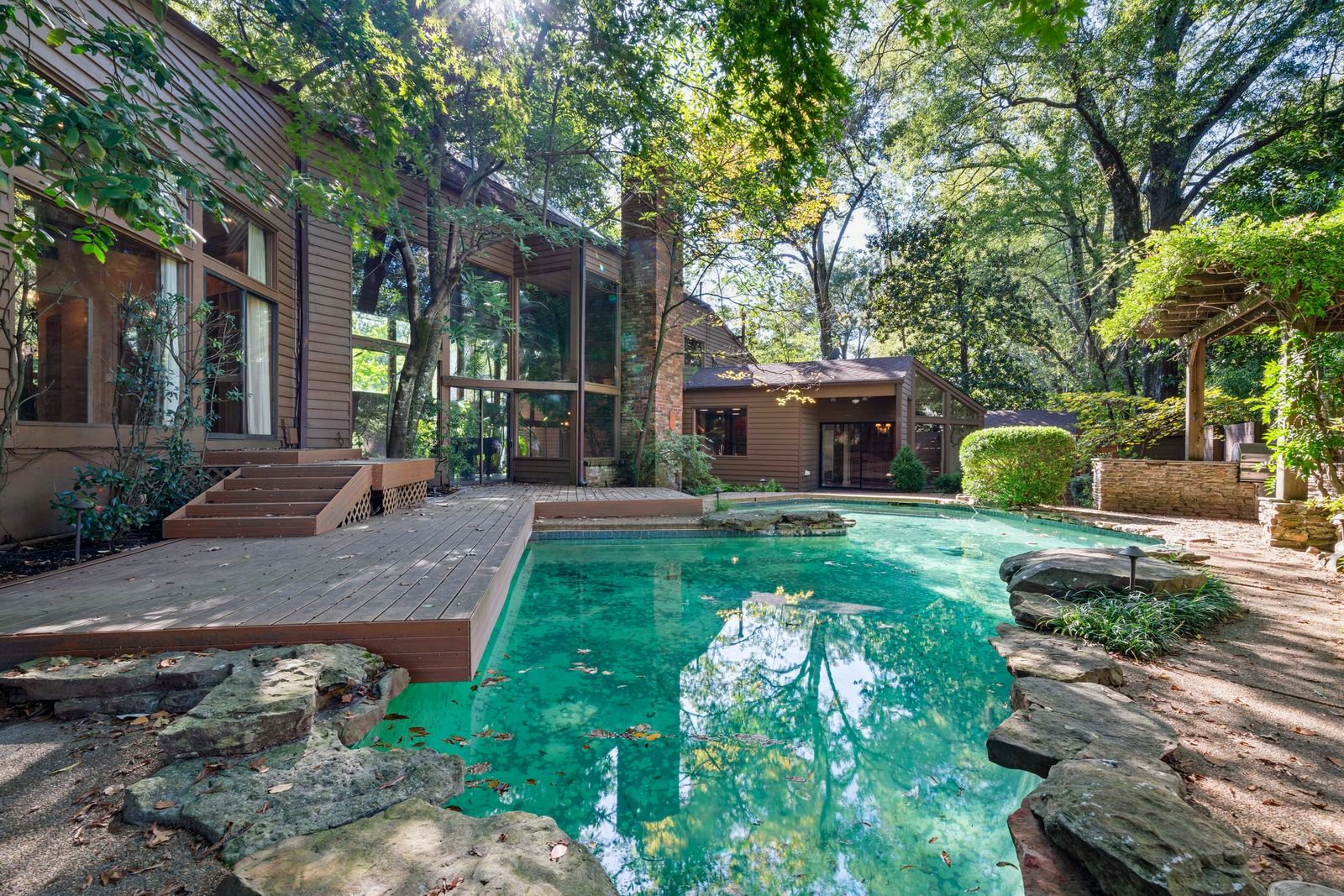 Photo 12 of 12 in There’s a Tree in the Living Room of This $700K ...