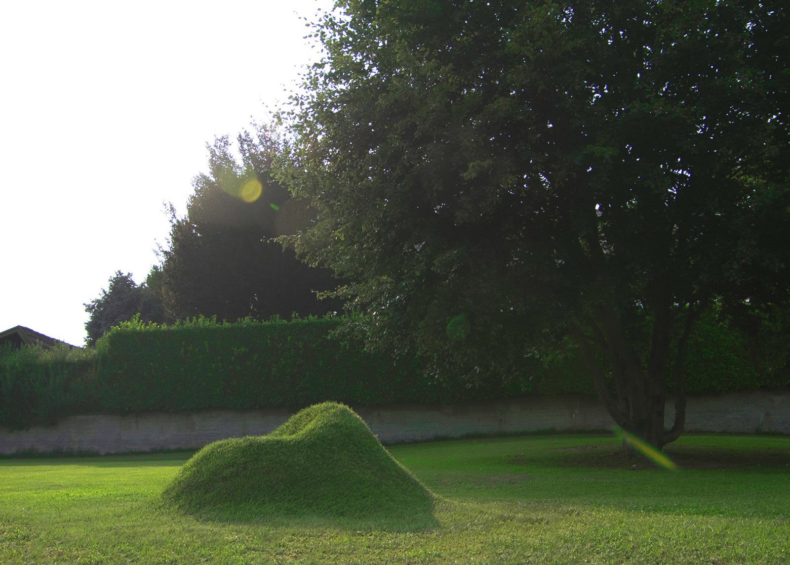 Photo 6 of 6 in Terra! The Grass Armchair - Dwell
