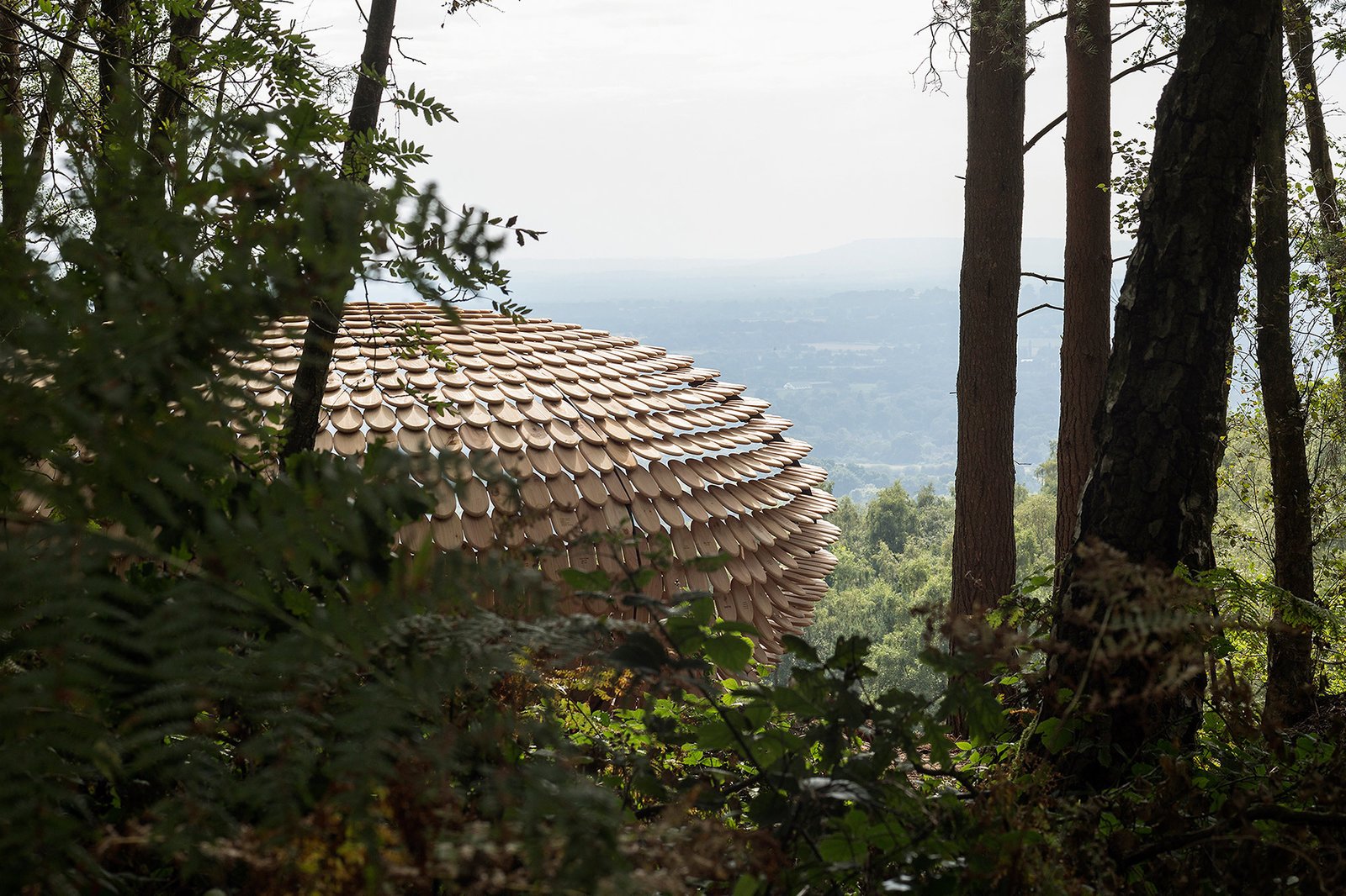 Photo 2 of 6 in An Organic Cedar Wood Pavilion Filled With Meaning - Dwell