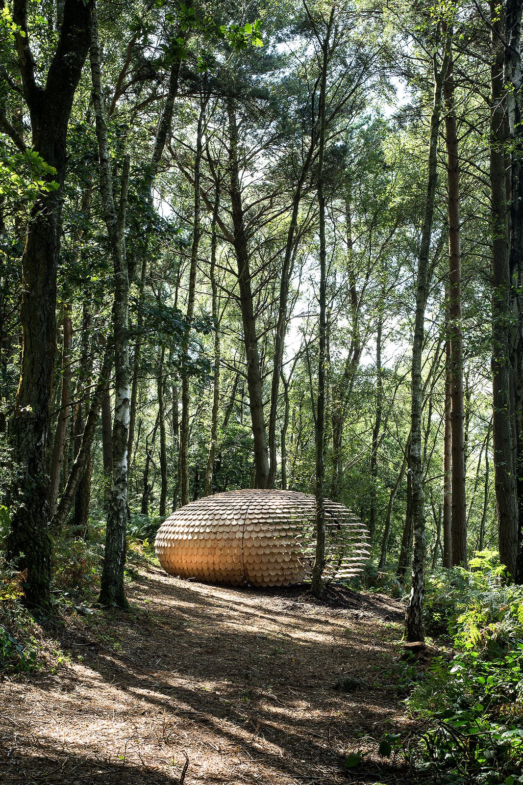 Photo 5 of 6 in An Organic Cedar Wood Pavilion Filled With Meaning - Dwell