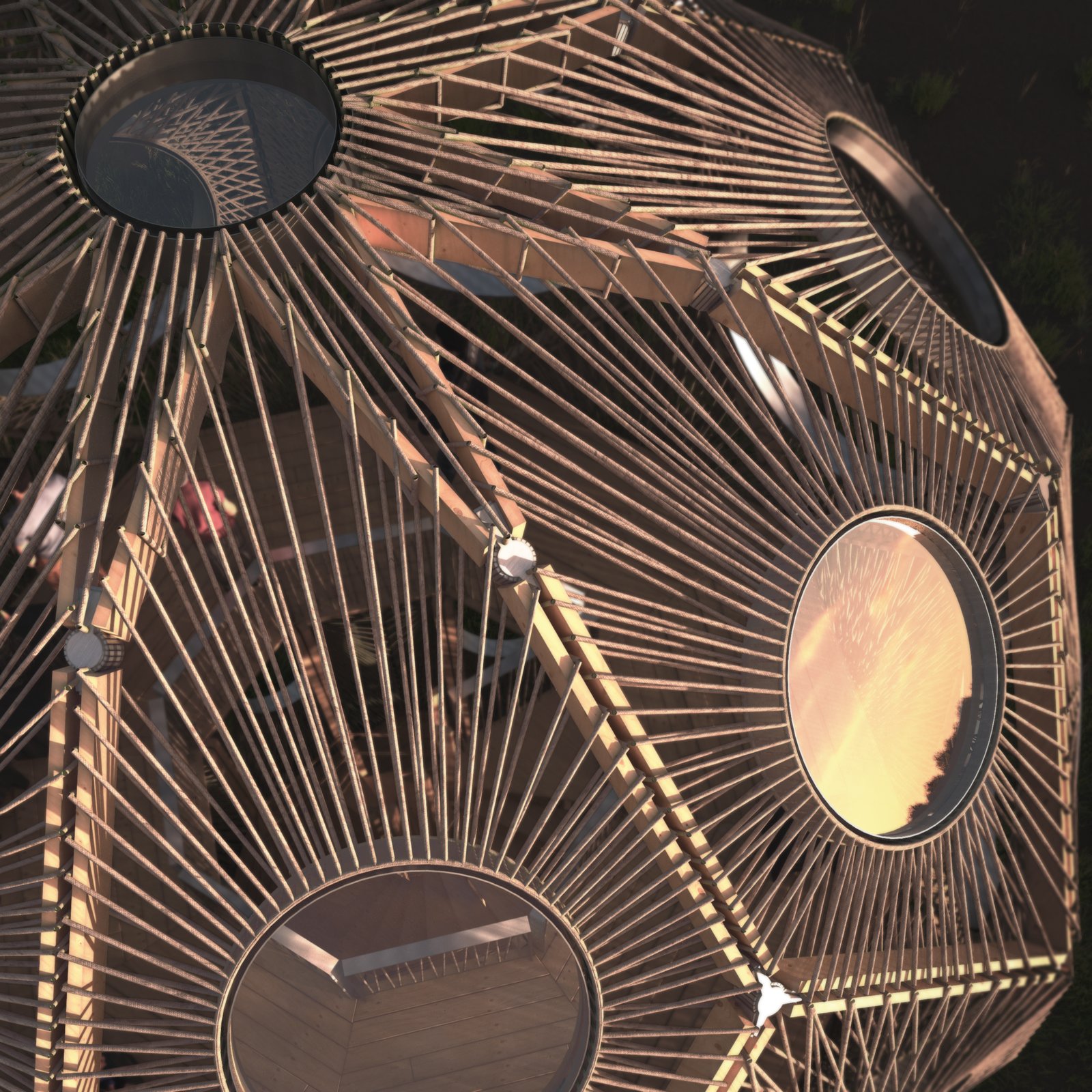 Photo 5 of 9 in Bird-Watchers Will Be Flying High Once This Stunning ...