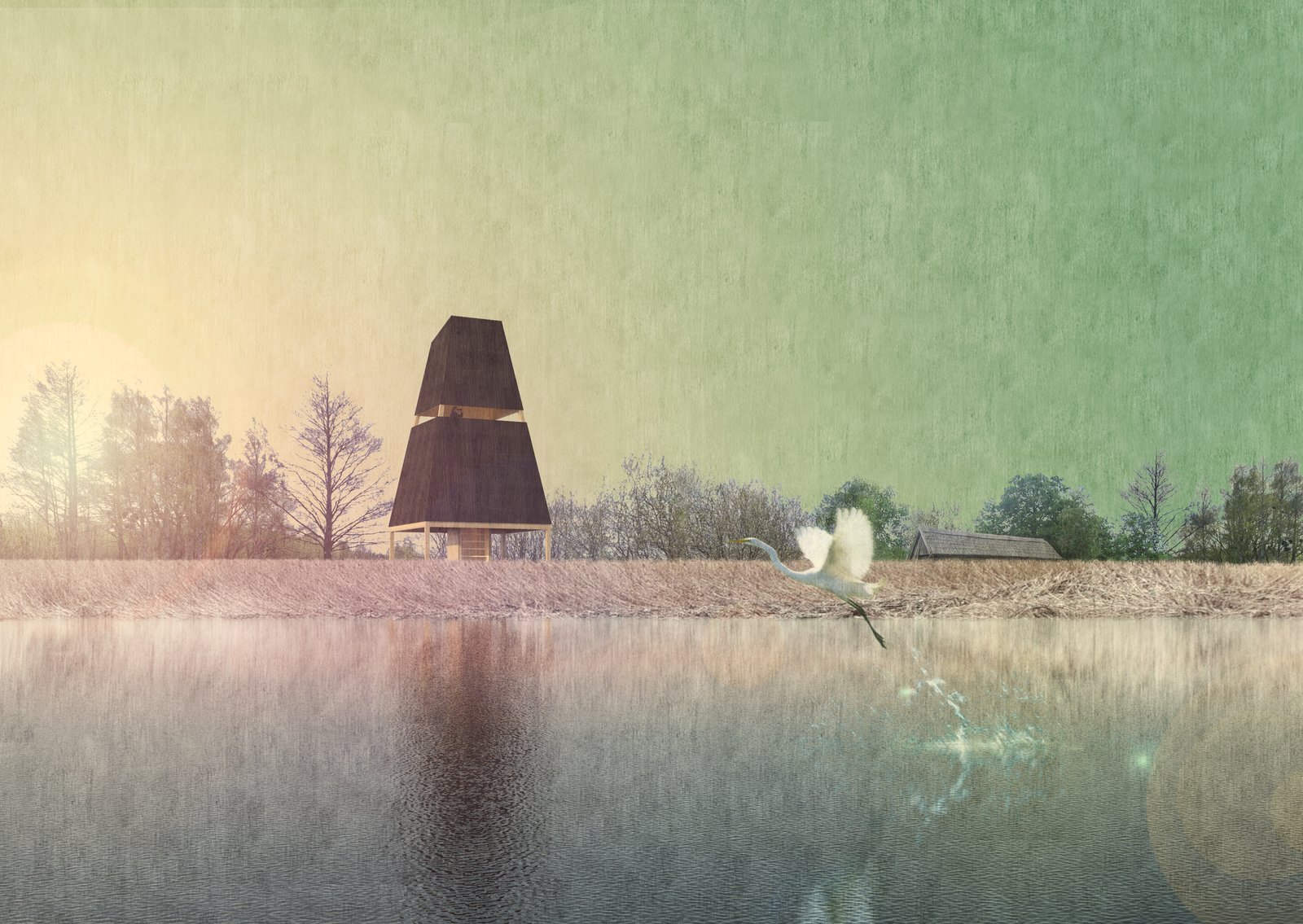 Photo 6 of 9 in Bird-Watchers Will Be Flying High Once This Stunning ...