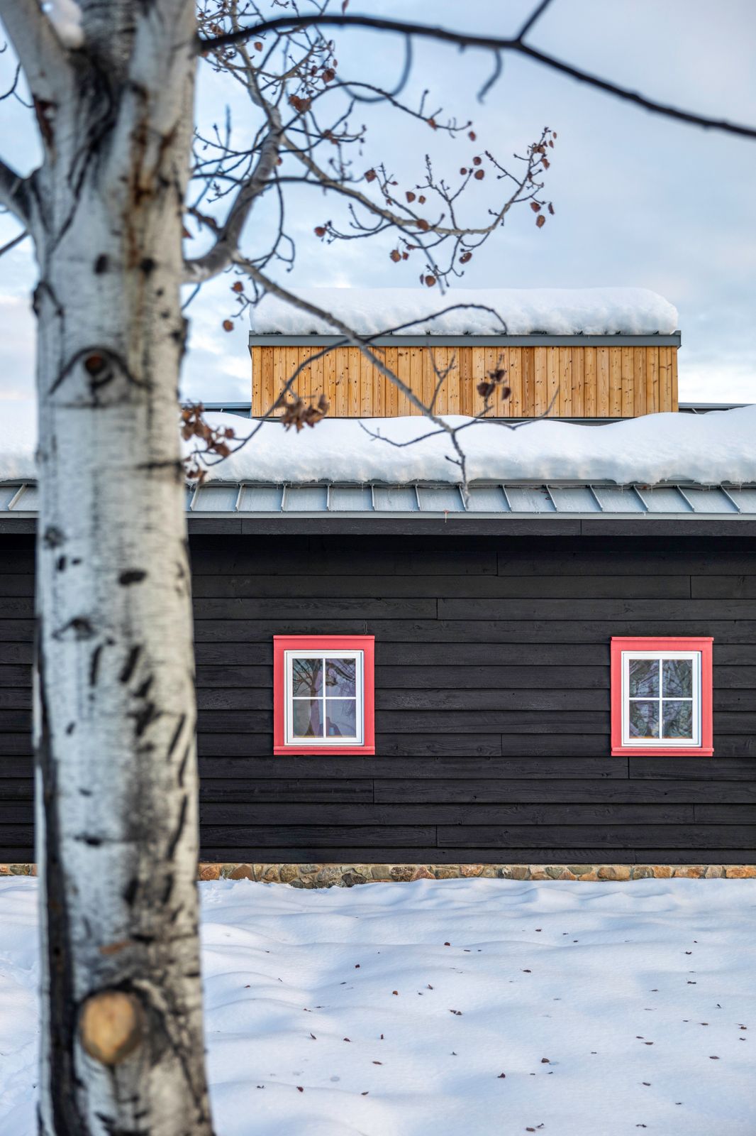 Photo 15 of 17 in Lynx Lane by Prentiss + Balance + Wickline Architects ...