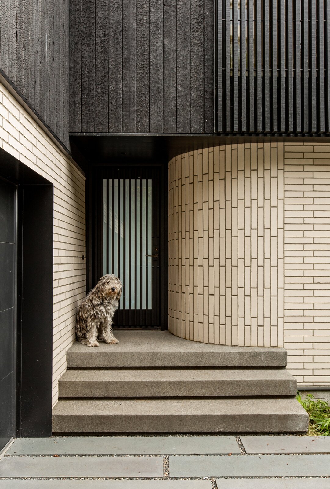 Photo 6 of 50 in Black Pine House and Cabin by SHED Architecture ...