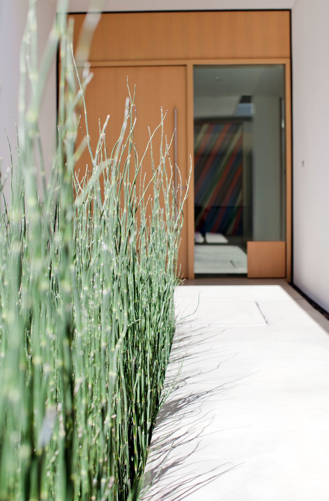 Photo 10 of 14 in West Point Grey 02 by considered design inc - Dwell