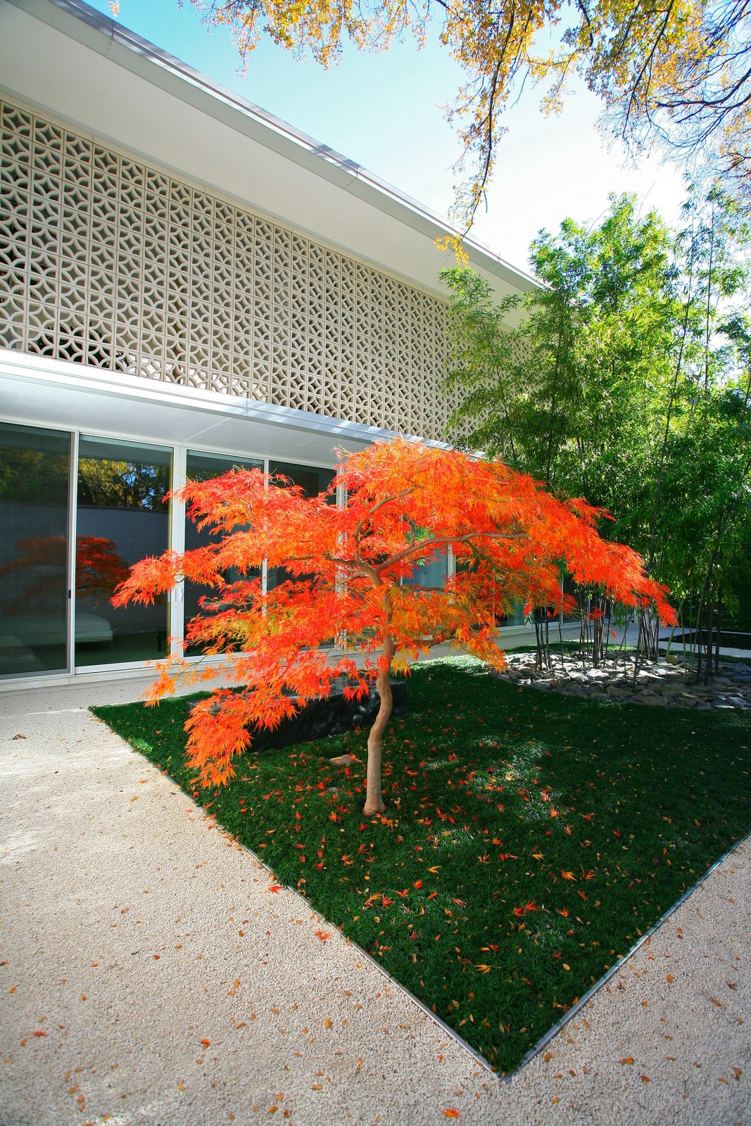 Photo 16 of 17 in Oak Court by buchanan architecture - Dwell