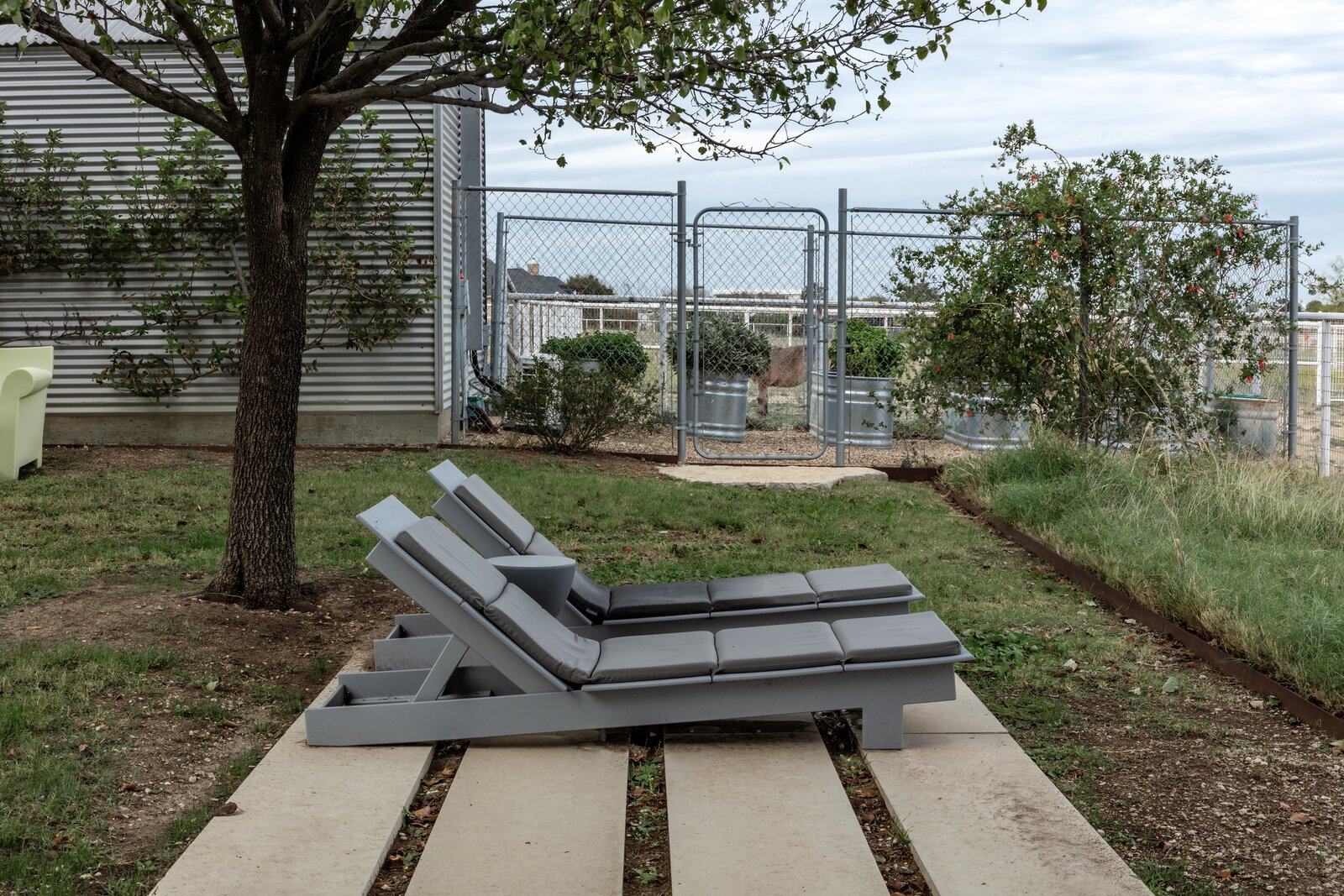Photo 1 of 49 in DFW Texas Modern Max Levy Home asks $1.1 million by ...