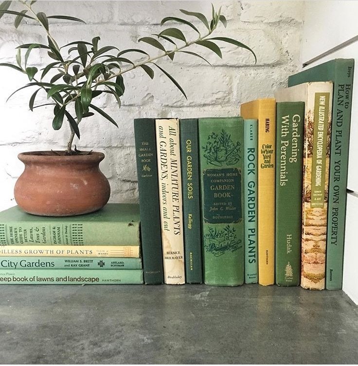 Becoming So Cal (4 Photos) - Dwell