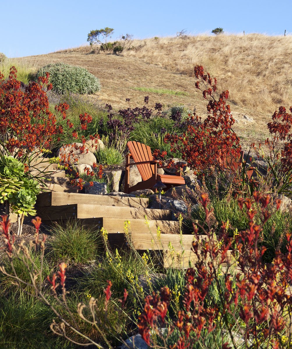 Photo 3 of 8 in The Painterly Approach by Arterra Landscape Architects ...