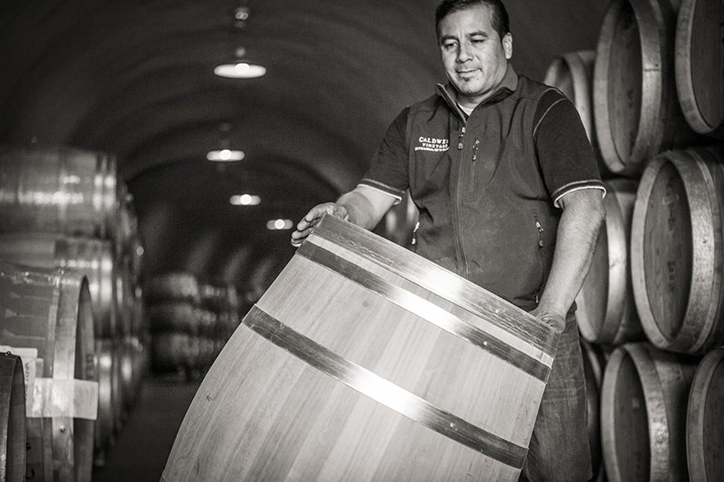 Photo 2 of 5 in The Craft of the Master Cooper - Dwell