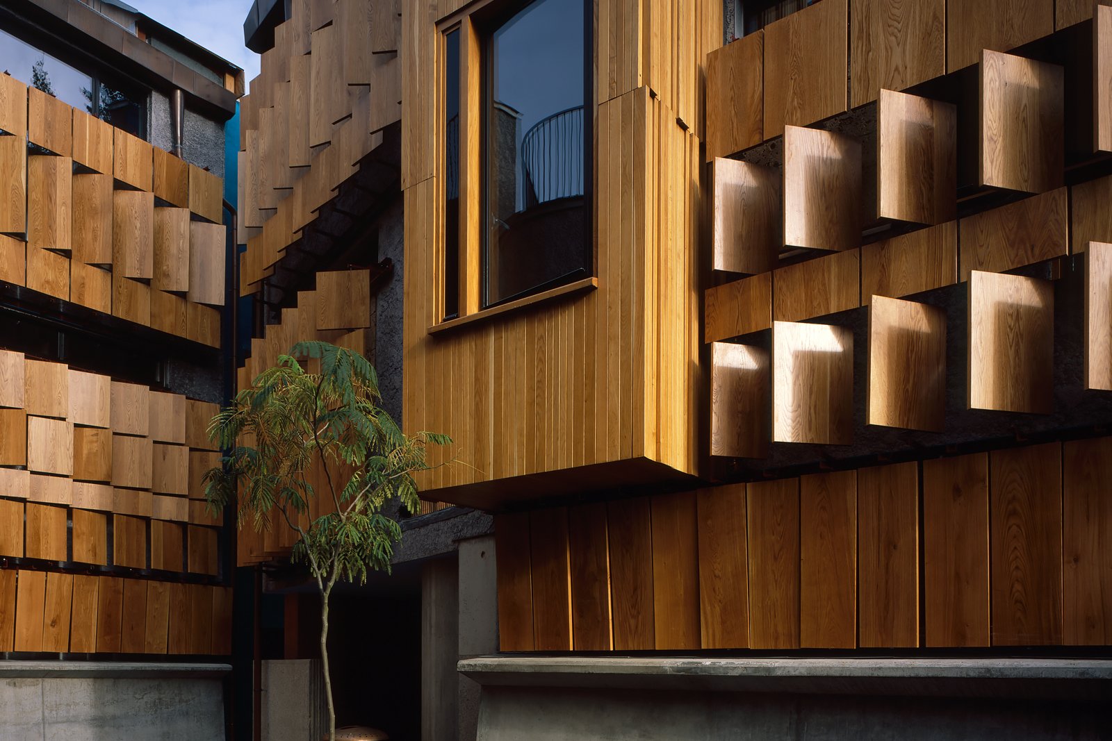 Walmer Yard (8 Photos) - Dwell