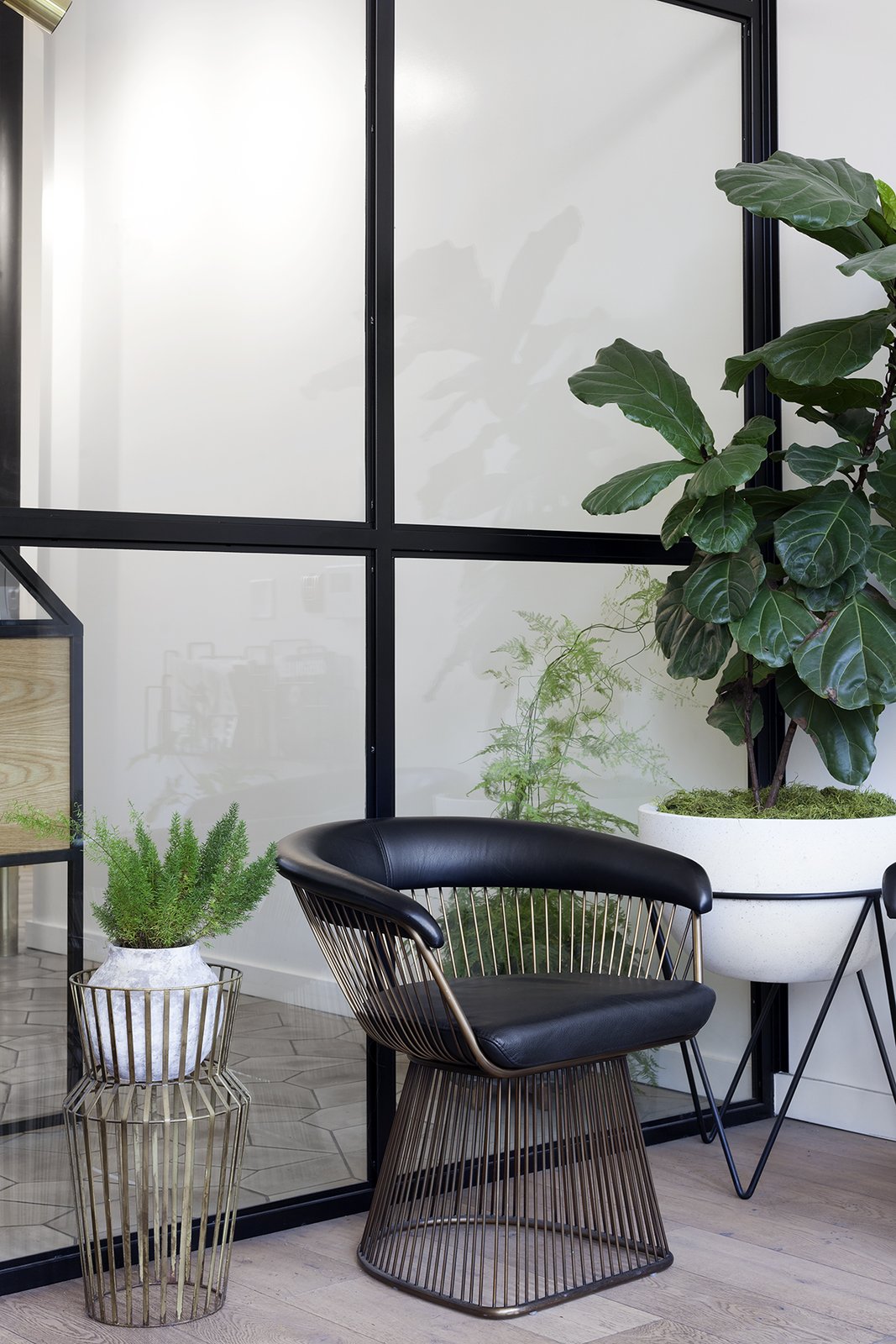 Photo 13 of 15 in Serra Downtown by krista jahnke photography - Dwell