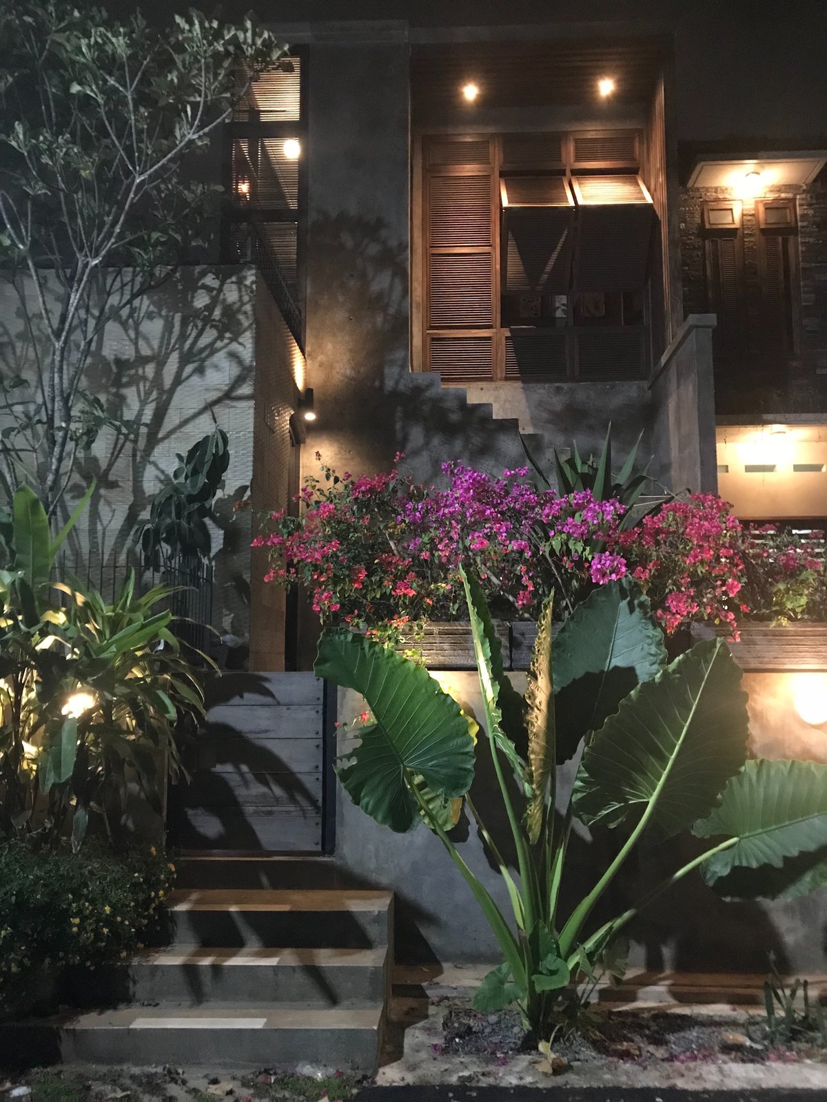 Lumah Momot (2 Photos) - Dwell