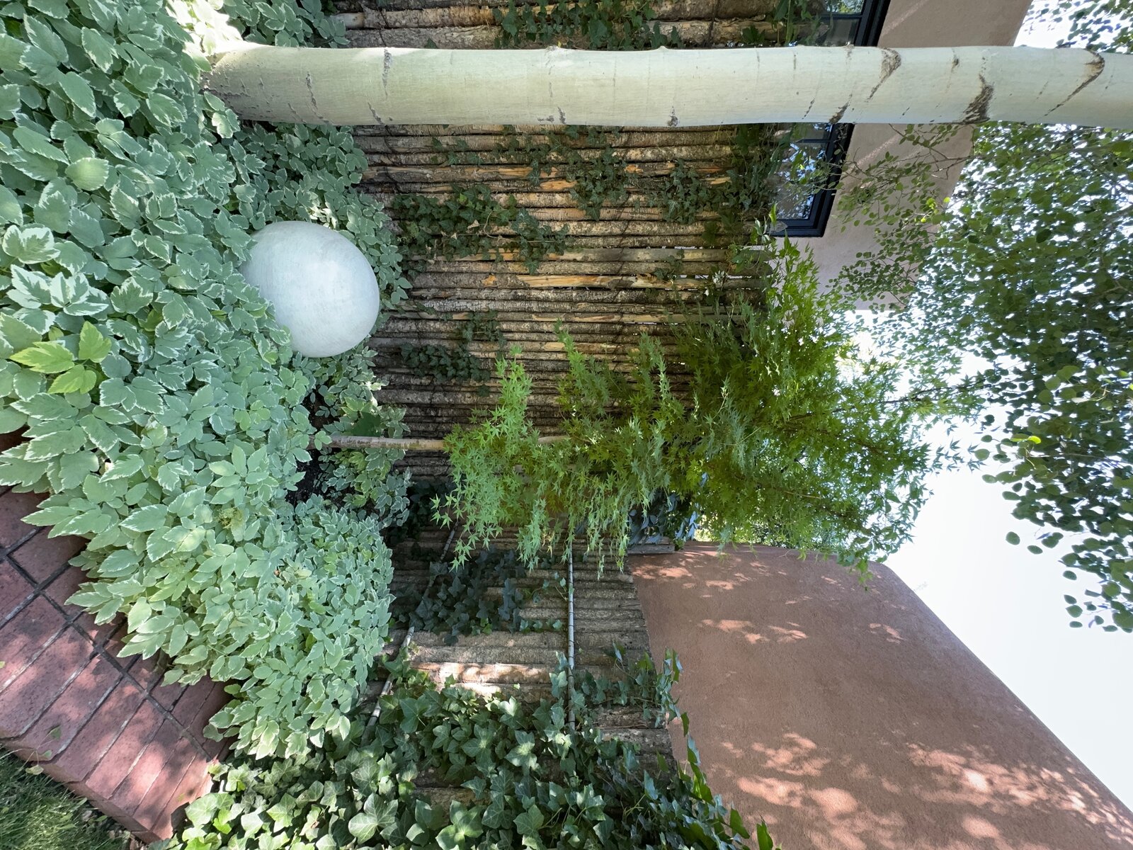 Photo 1 of 15 in Sterling Hamilton Residence by Robert Castle - Dwell