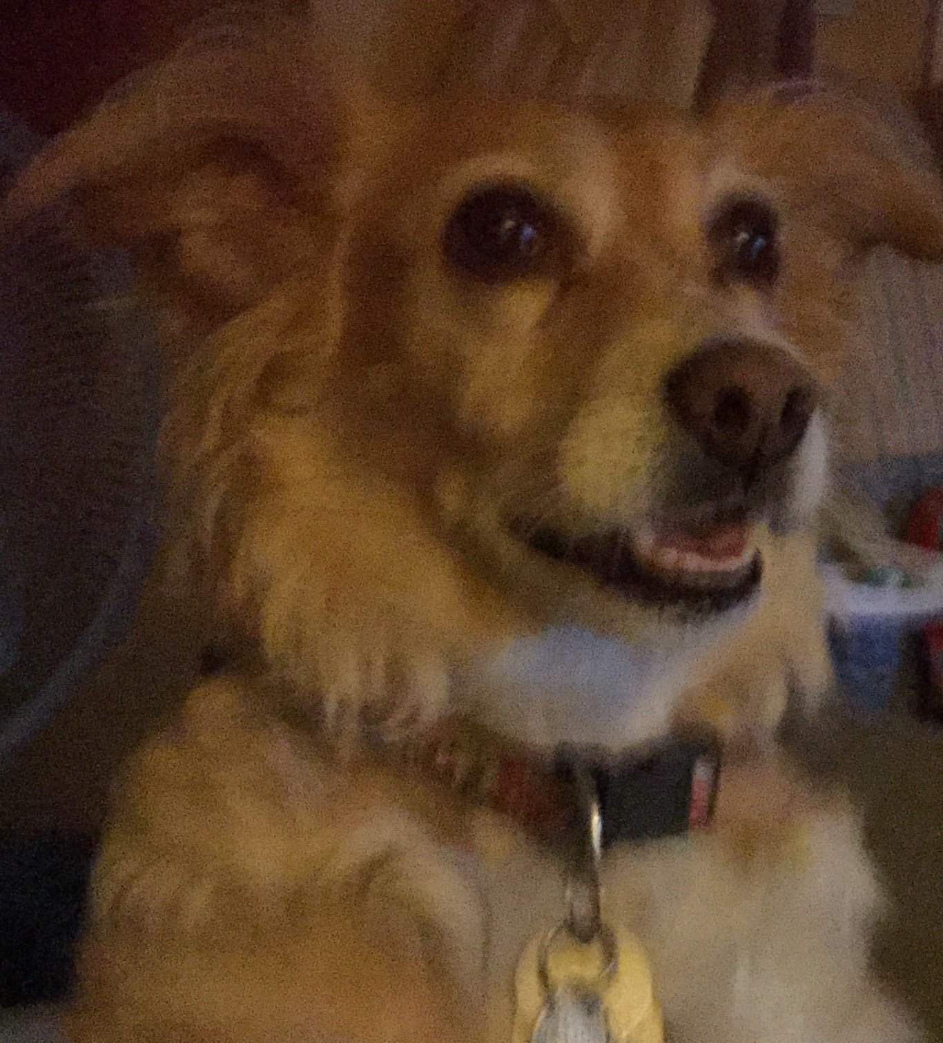 Pamela Burnham on Dwell