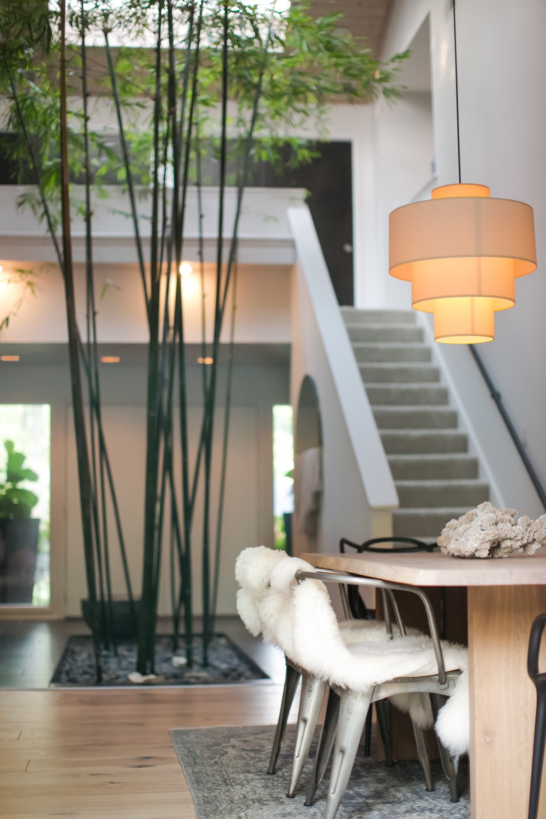 Photo 5 of 35 in Avriel Shull's "The Sanctuary" by Mod Abode by Jamie ...