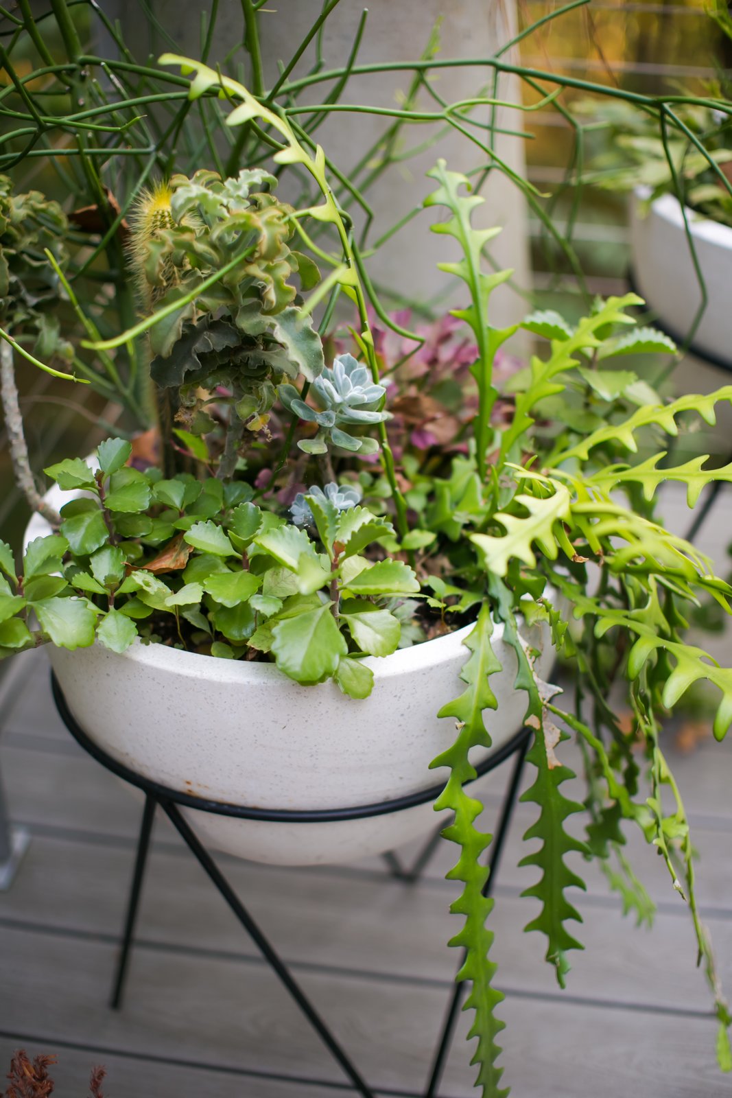 Photo 1 of 35 in Avriel Shull's "The Sanctuary" by Mod Abode by Jamie ...