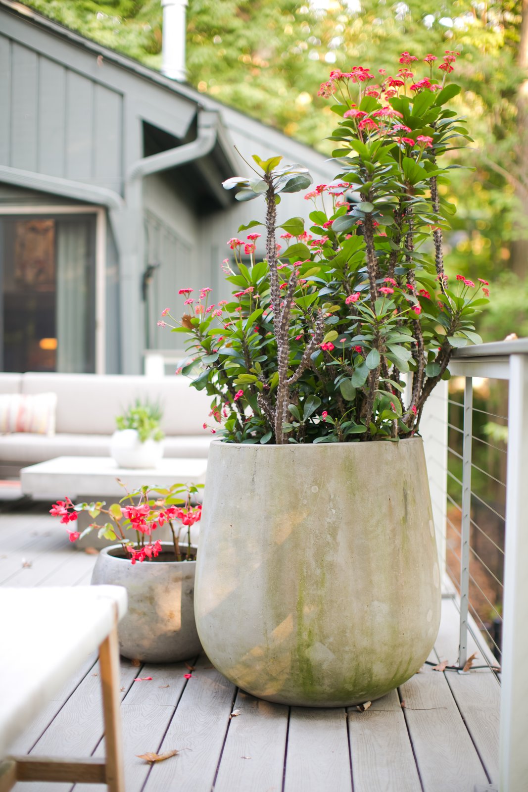 Photo 1 of 35 in Avriel Shull's "The Sanctuary" by Mod Abode by Jamie ...