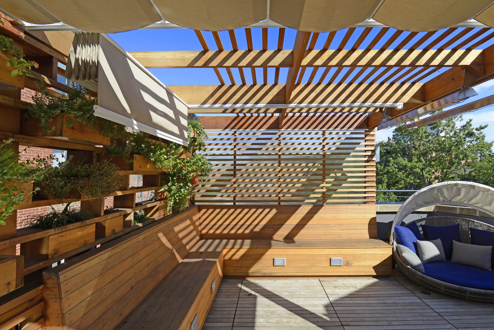 Photo 4 of 11 in DC Roof Deck by ARCHI-TEXTUAL, PLLC - Dwell