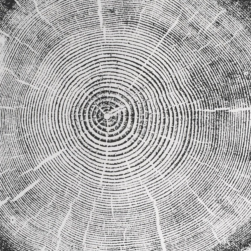 Photo 13 of 26 in Tree Ring Prints by Erik Linton - Dwell