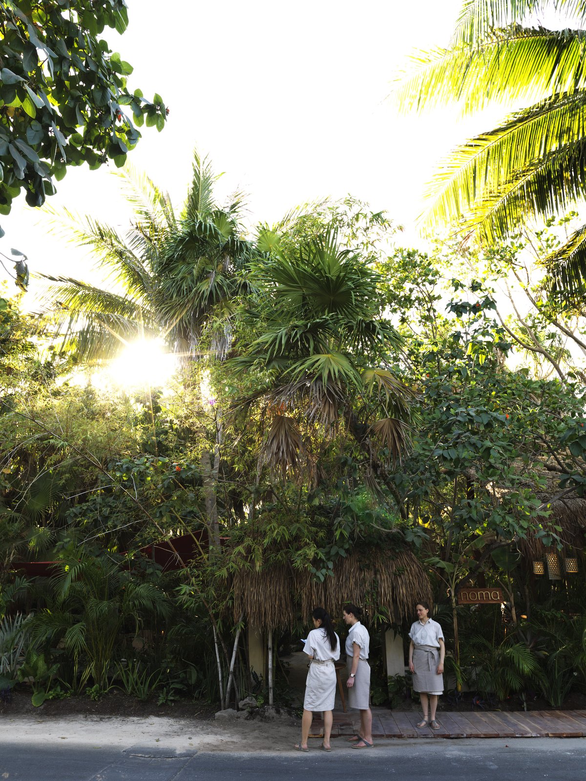 Photo 2 of 10 in A Look at the Design of Noma Mexico, Tulum’s Pop-Up ...