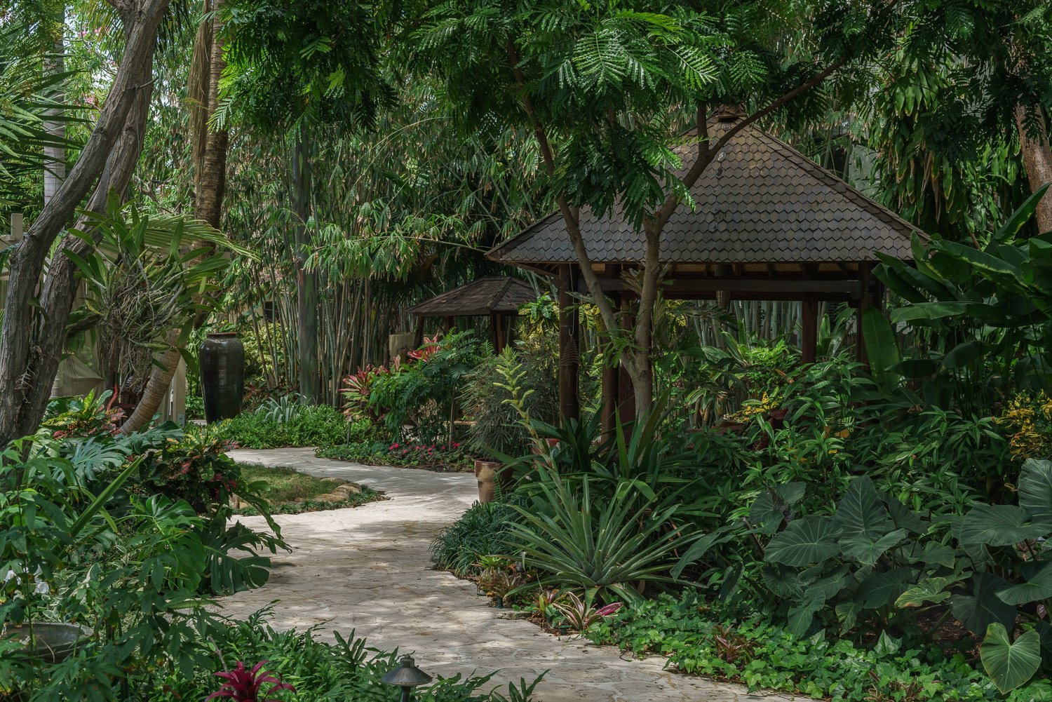 Photo 9 of 13 in IndoChine Residence by Cadence Landscape Architects ...