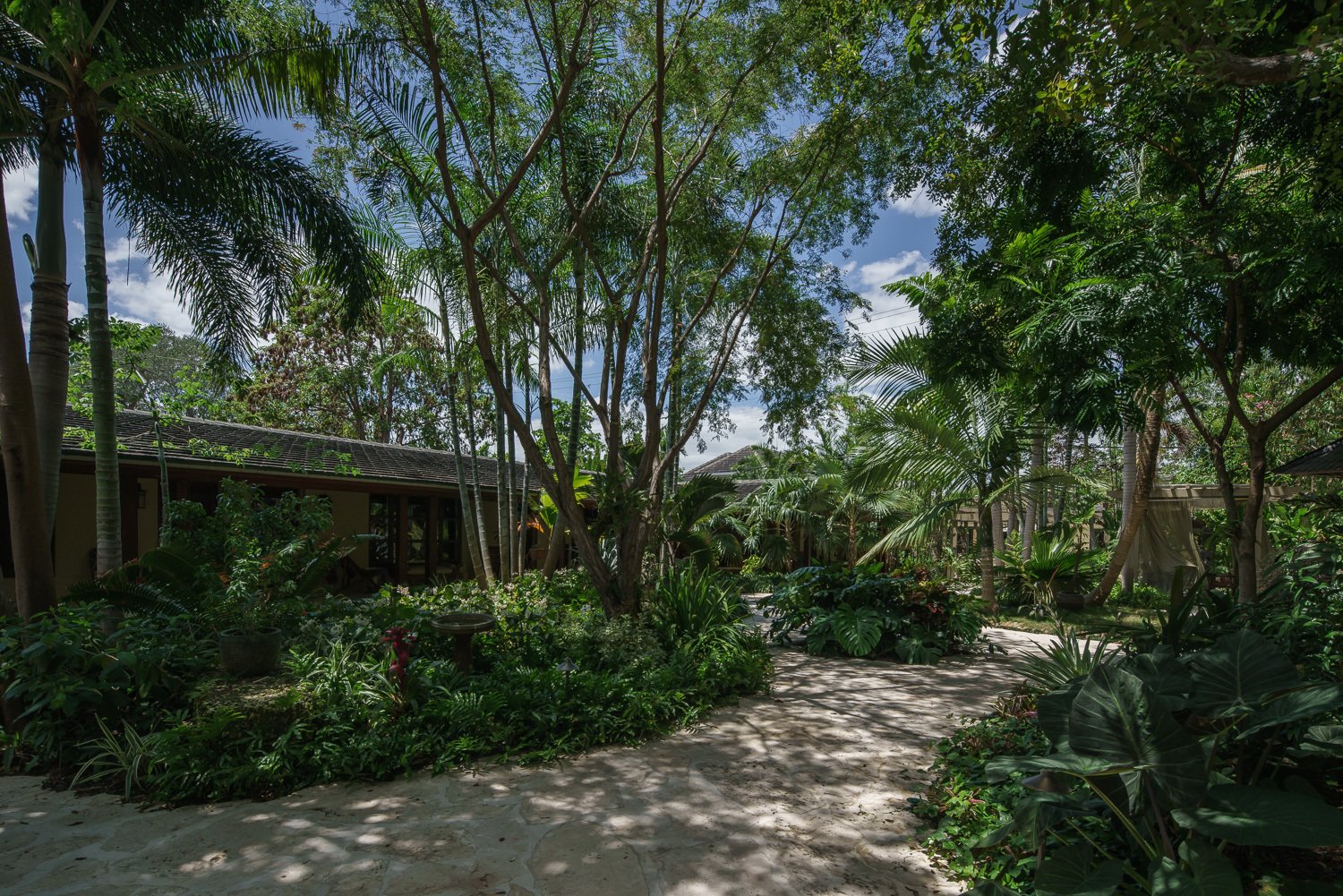 IndoChine Residence posted by Cadence Landscape Architects (13 Photos ...