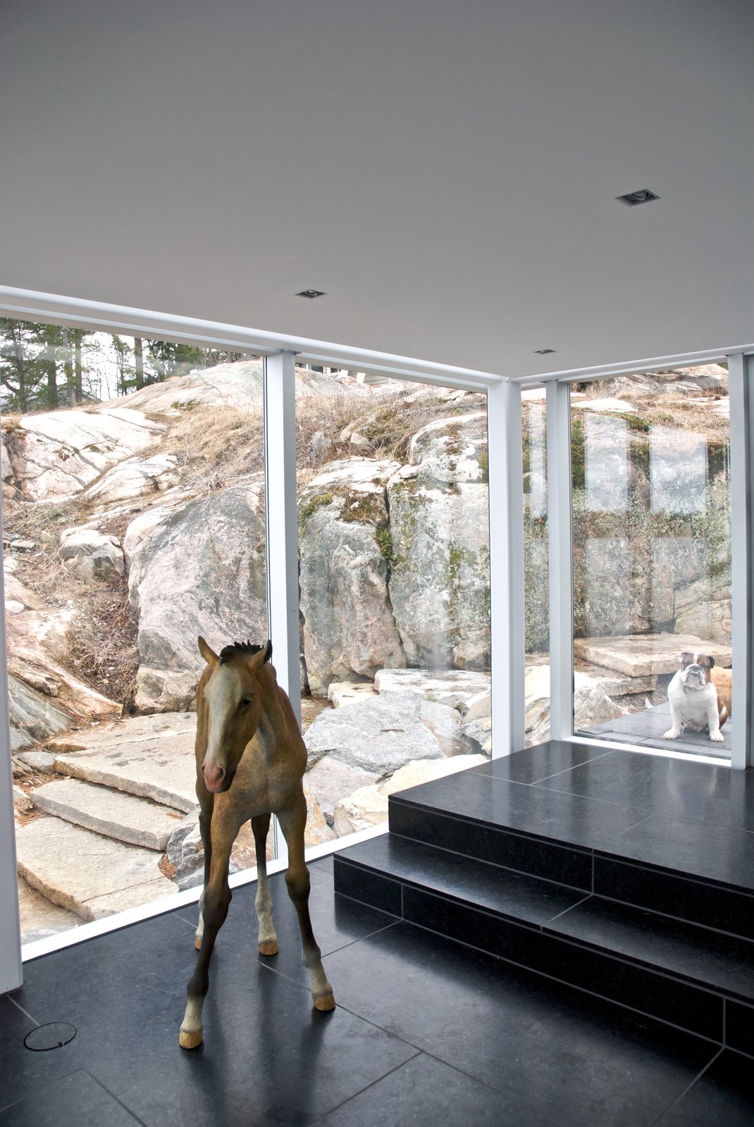 Photo 9 of 14 in This Mesmerizing Glass House Is Also a Photographer's ...